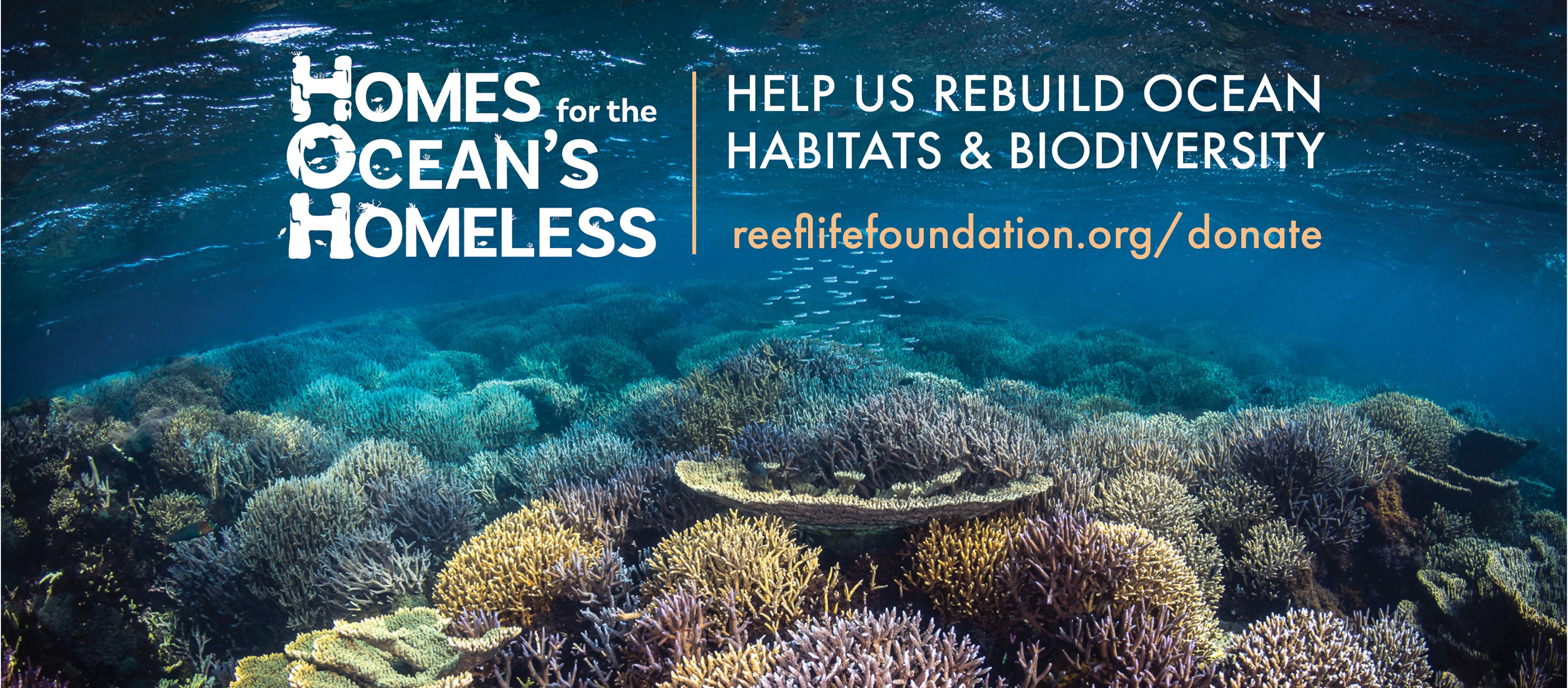 Reef Life Foundation - Heroes of the Sea