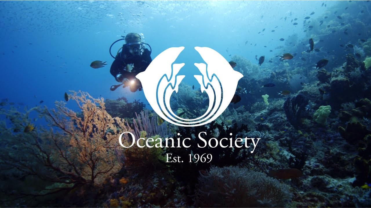 Oceanic Society - Heroes of the Sea
