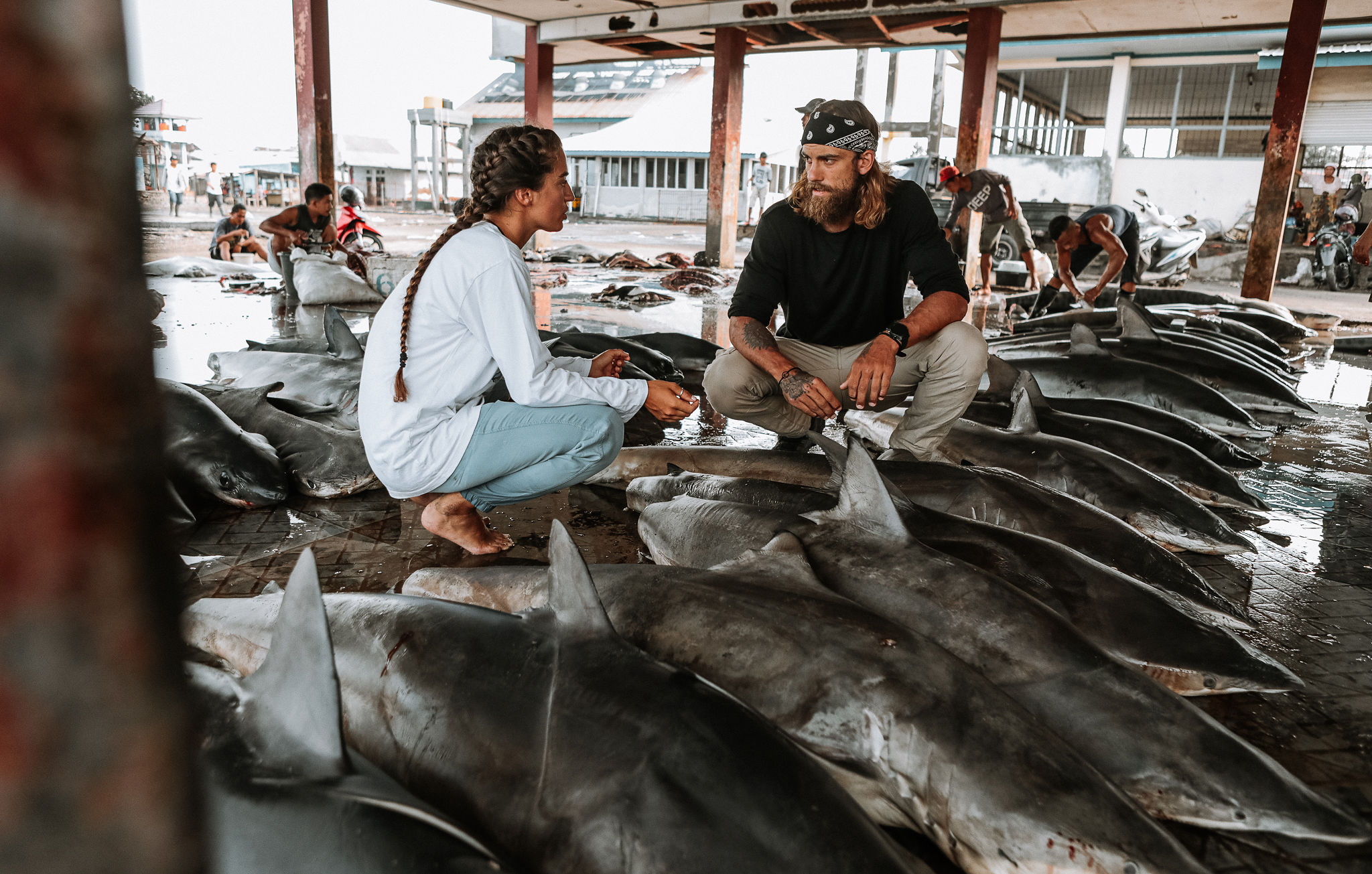 Project Hiu - Heroes of the Sea