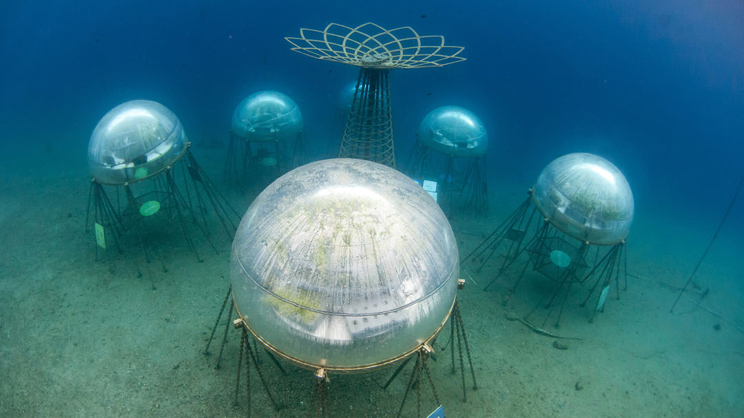 Nemos Garden - Heroes of the Sea