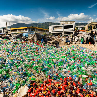 One Earth One Ocean - SeeHamster - Heroes of the Sea