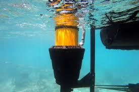 Seabin Project - Heroes of the Sea